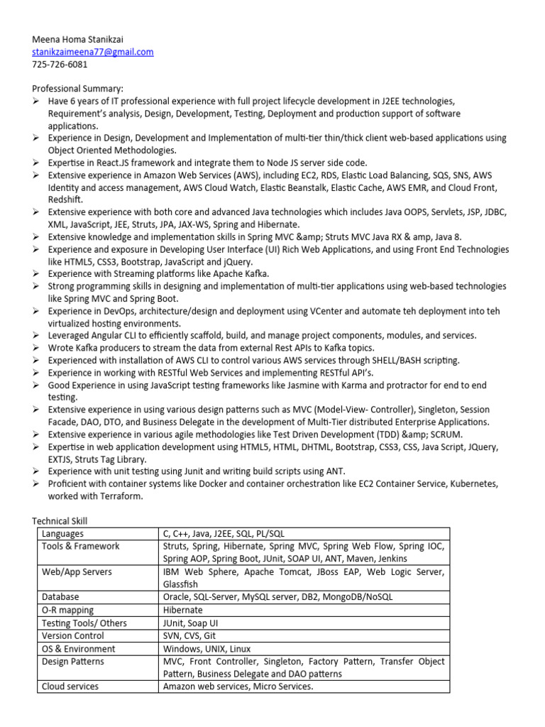 (RESUME) Meena Stanikzai | Download Free PDF | Spring Framework | Representational State Transfer