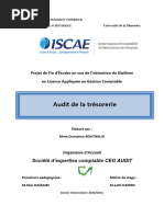Audit Du Cycle Trésorerie CESAG | PDF | Audit | Contrôle interne