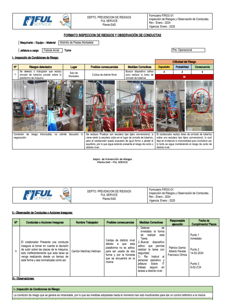 FIR - Formulario Inspeccion de Riesgos | PDF