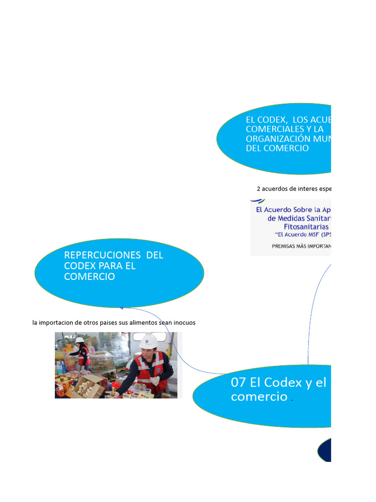 MAPA MENTAL QUE ES EL CODEX ALIMENTARIUS Diego Ramirez Peña 111 | PDF ...