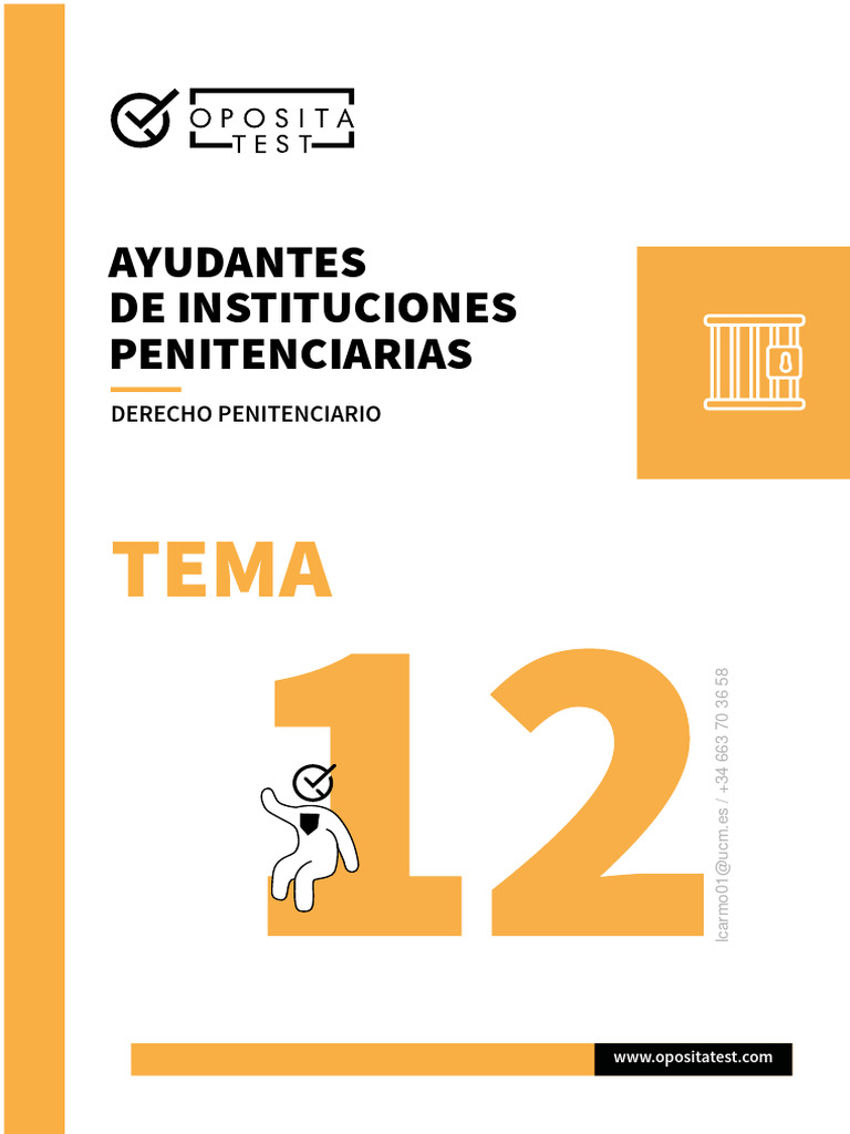 Opo T12 B3 Derechopenitenciario IIPPFIN-v1-0-0-1 | PDF | Prisión | Trabajo Social