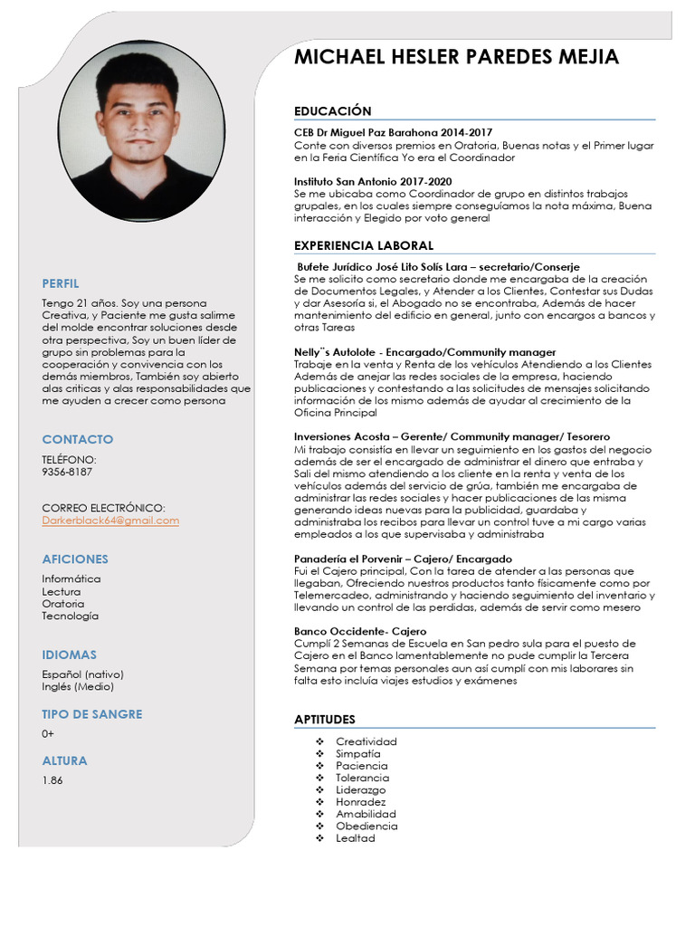 Perfil Profesional de Michael Hesler Mejía | PDF