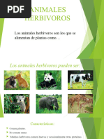 Cadena Alimenticia - Productores, Consumidores y Descomponedores PDF ...