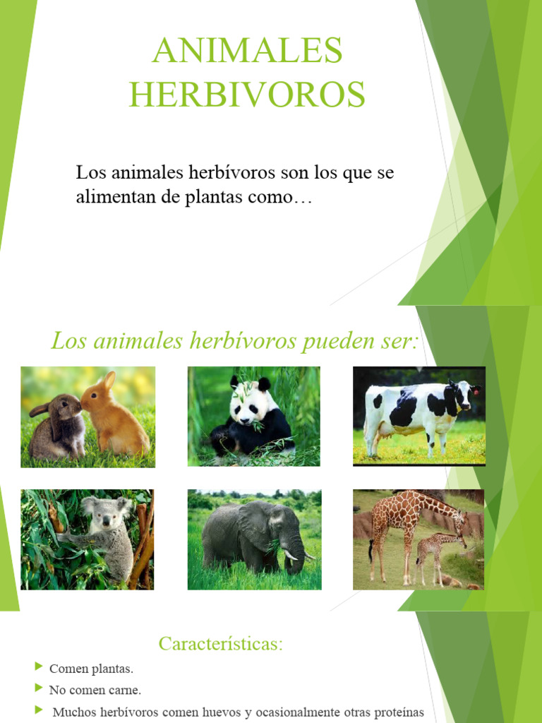 Animales Herbivoros | PDF