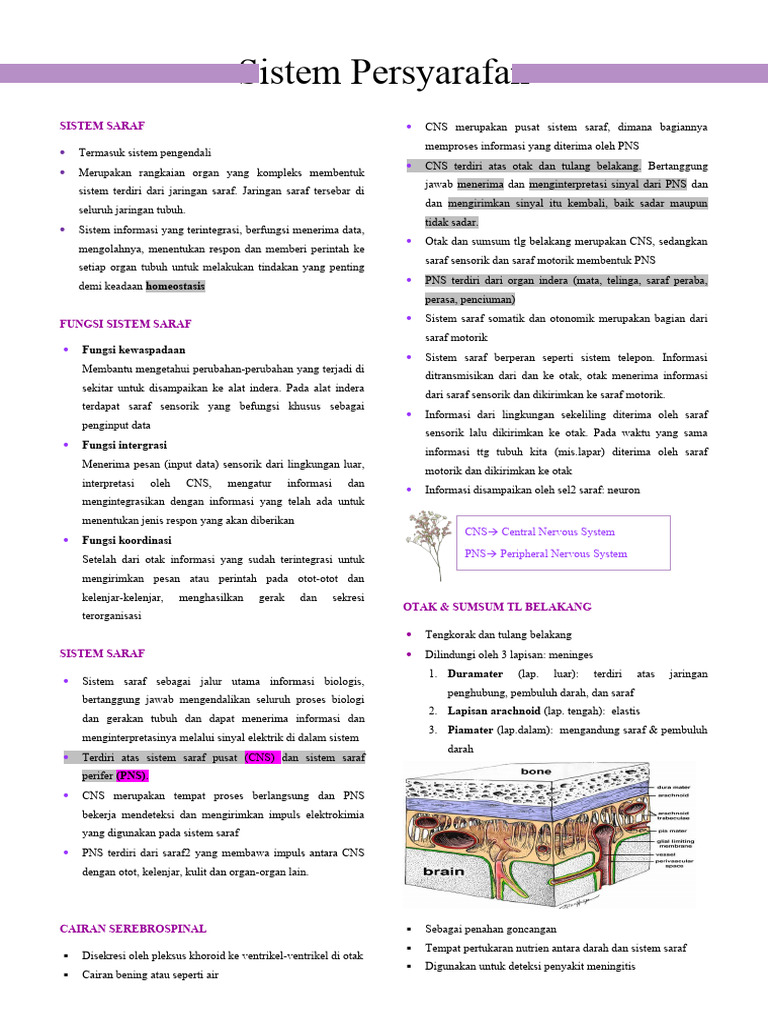 Sistem Persarafan | PDF