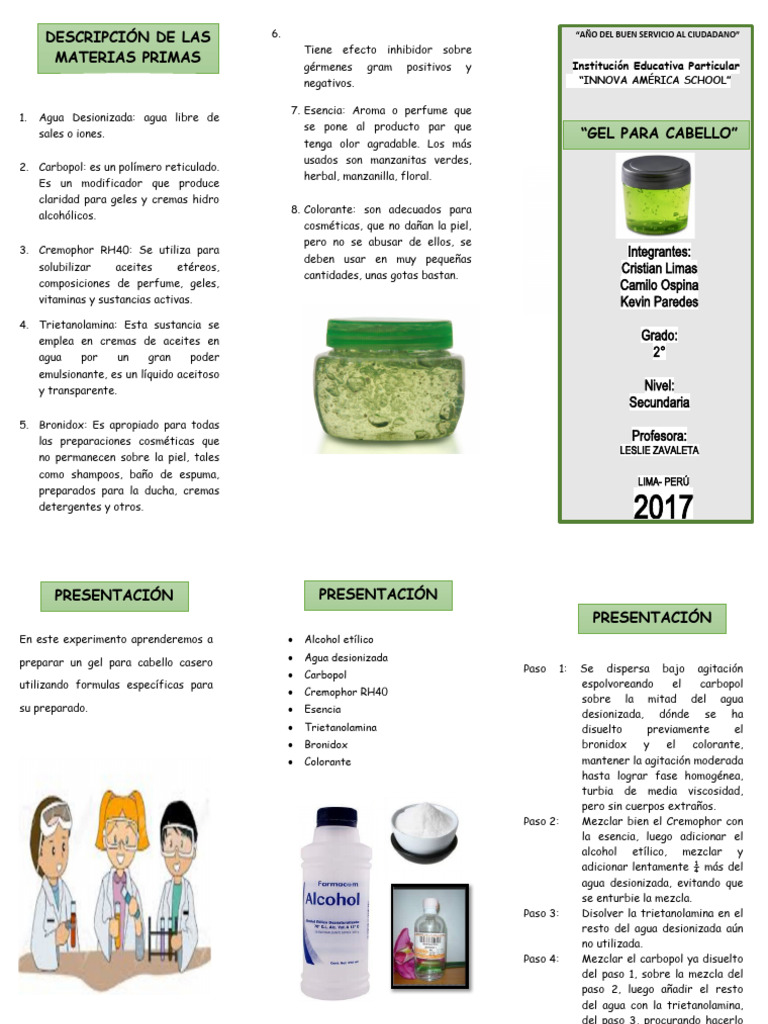 Triptico Gel para Cabello | PDF | Agua | Gel