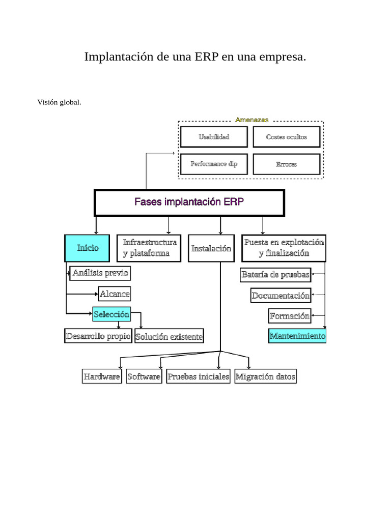 ERP Implantar | PDF | Computación en la nube | Planificación de ...