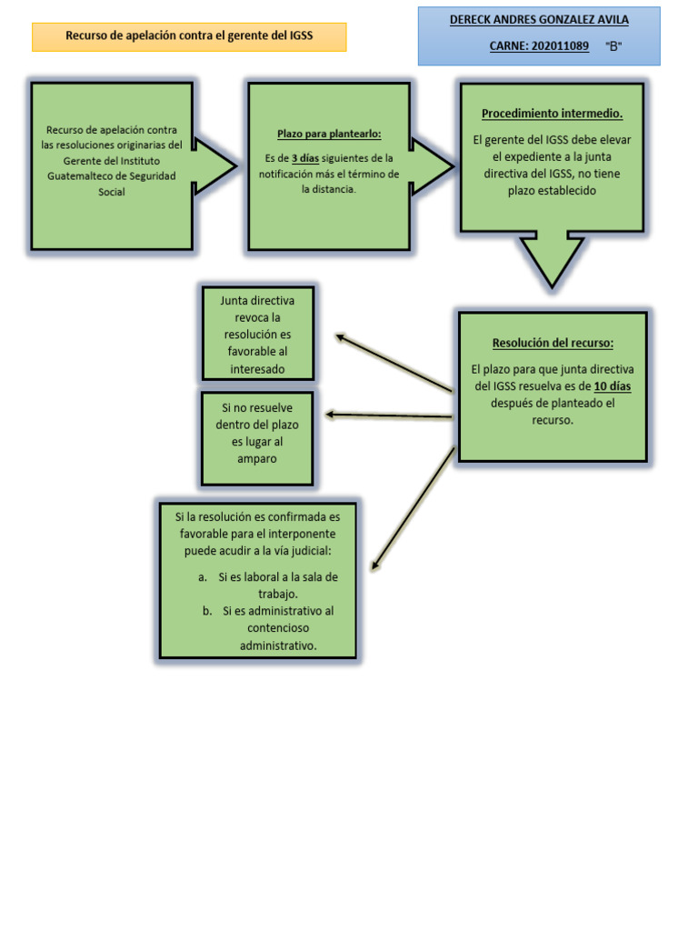 ESQUEMA 11 Recurso de Apelación Contra El Gerente Del IGSS | PDF