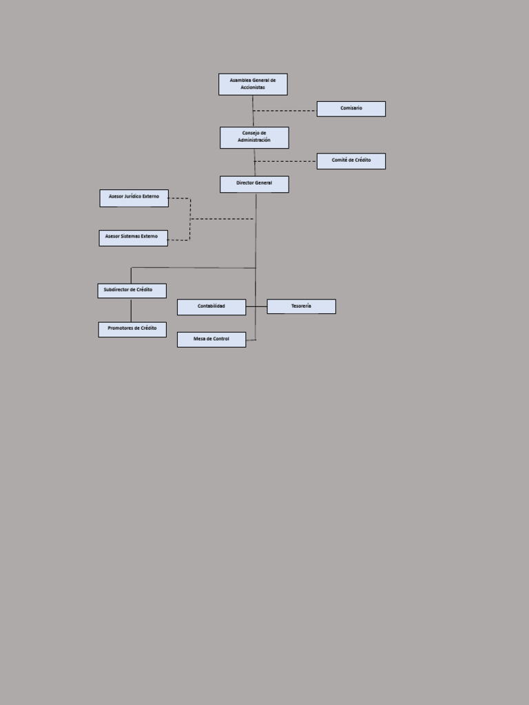 Organigrama Sofom | PDF | Negocios