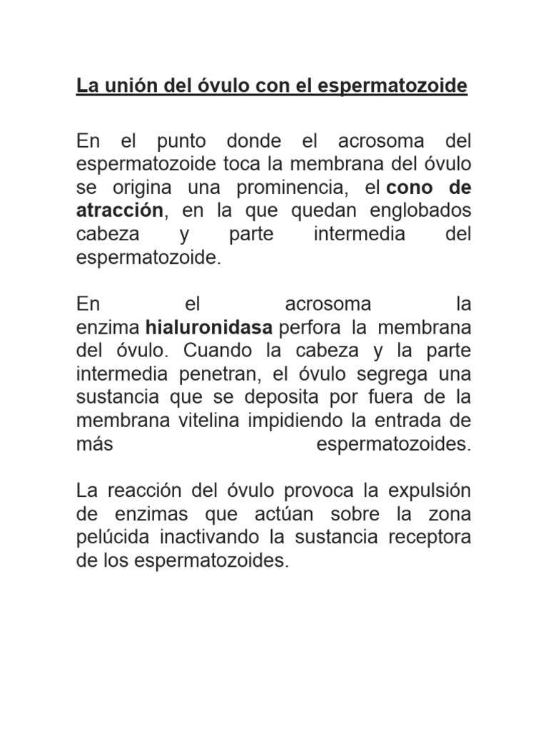 La Unión Del óvulo Con El Espermatozoide Pdf El Embarazo Aborto