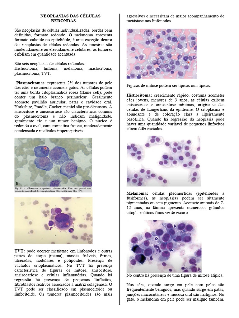 Neoplasias de Células Redondas em Cães | PDF | Neoplasmas | Timo
