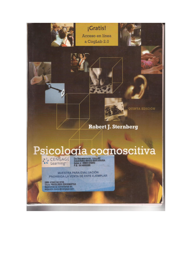 Sternberg Cap. 5 Memoria | PDF