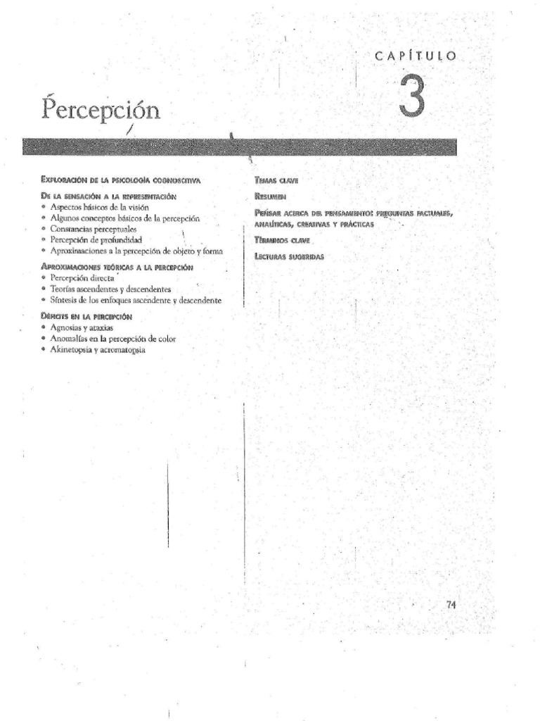 Sternberg Cap. 3 Percepción | PDF