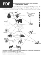 Food Webs and National Geographic Denali National Park | PDF | Wellness