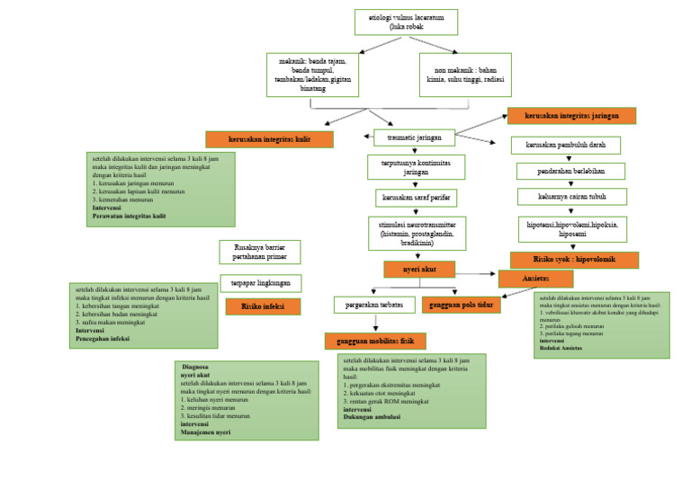 Woc Vulnus Laceratum | PDF
