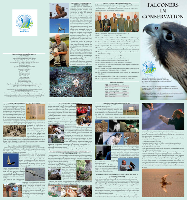 Iaf Falconry Conservation Flyer 01 en | PDF | Falconry | Organisms