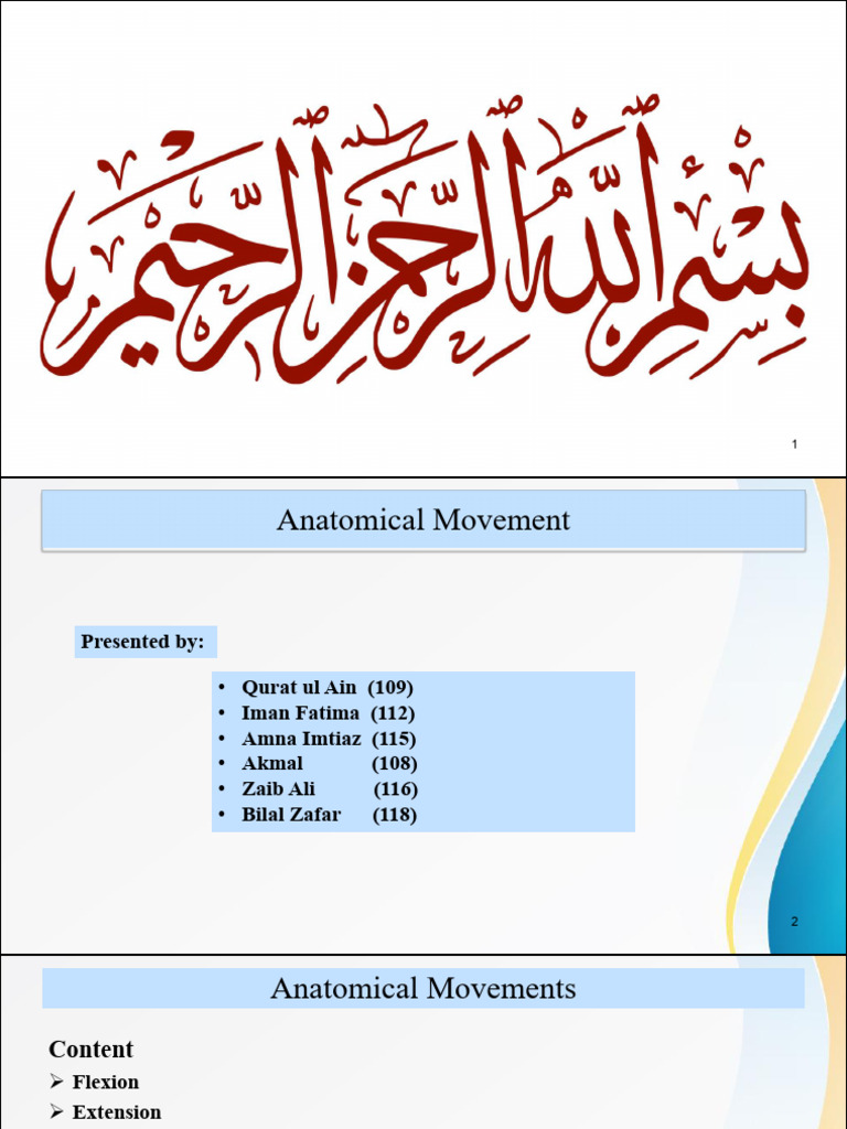 Anatomical Movements, PPT | PDF | Anatomical Terms Of Motion | Joints