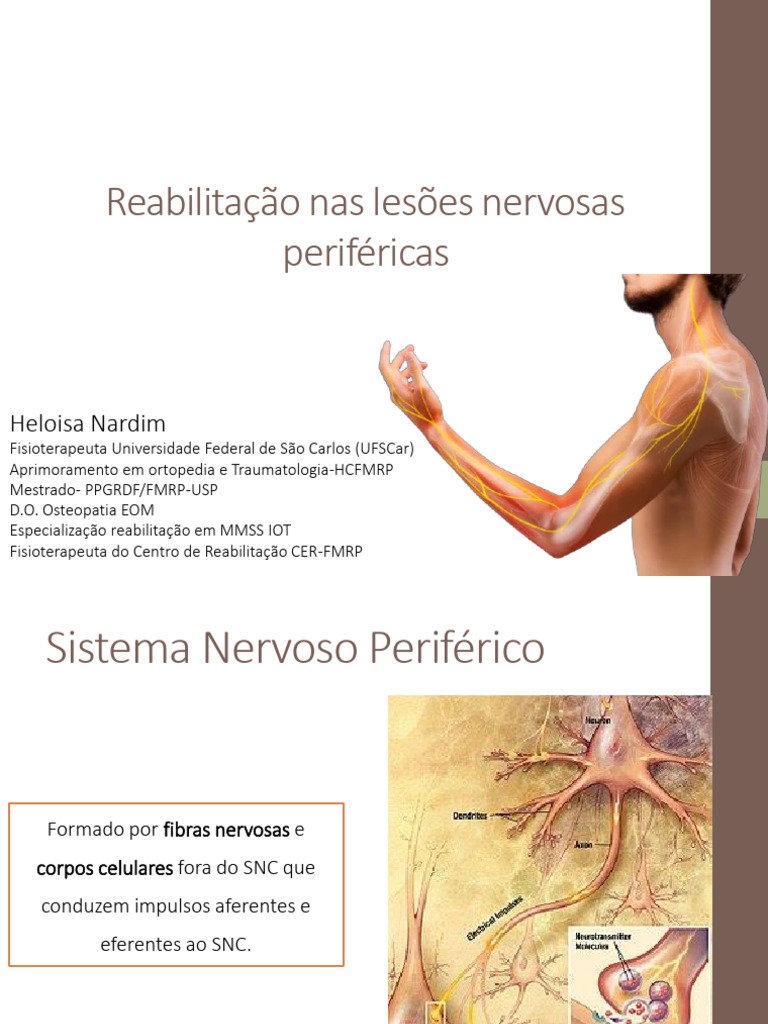 Reabilitação de Lesões Nervosas Periféricas | PDF | Sistema Locomotor ...