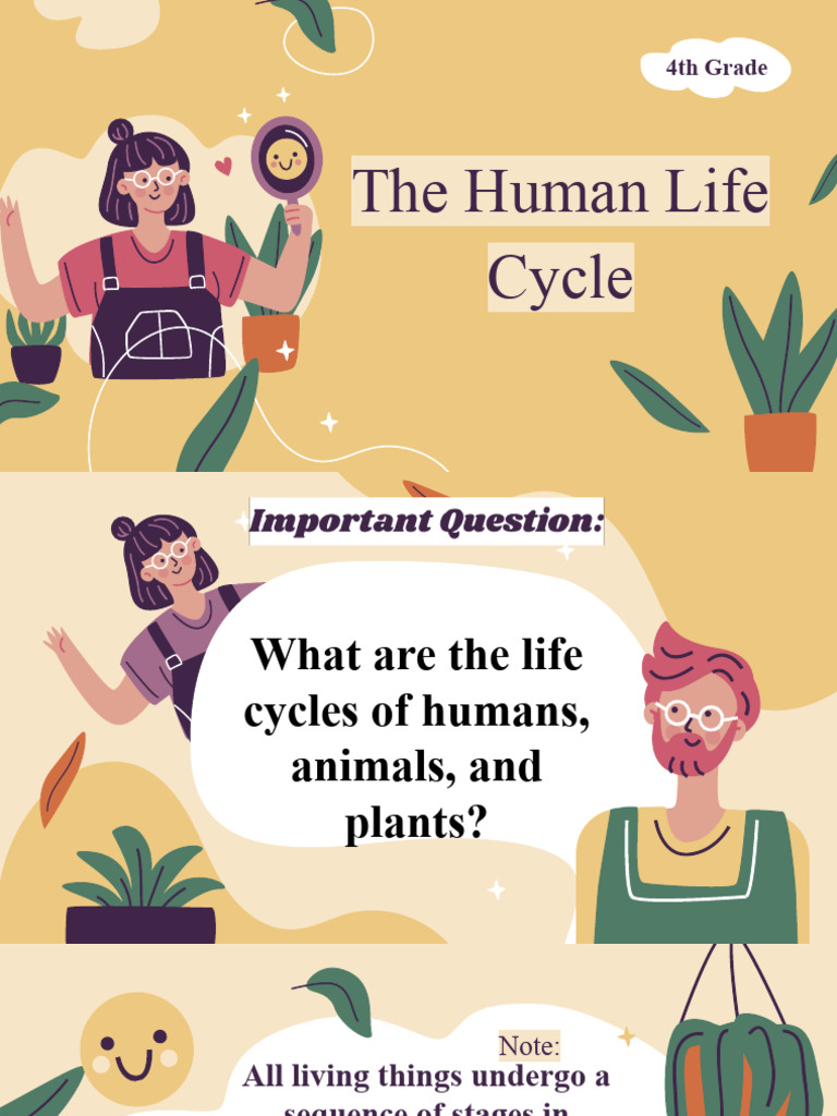 Human Life Cycle | PDF