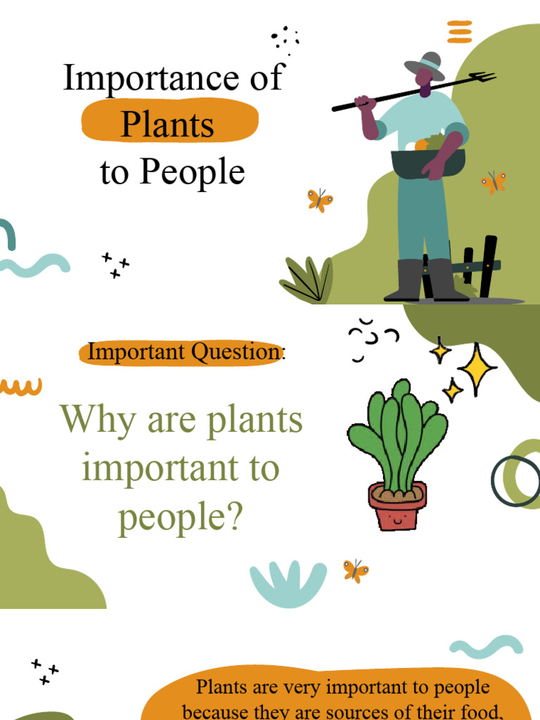 Essential Benefits of Plants for Humans | PDF | Plants | Trees