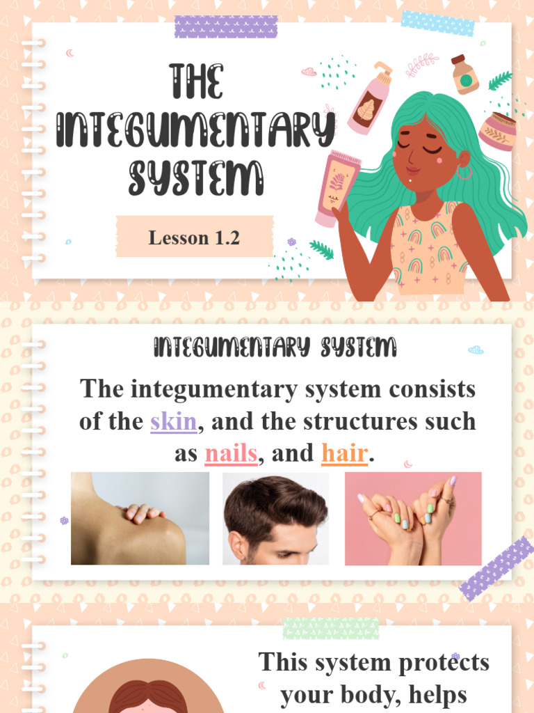 Q2 L1.2 The Integumentary System | PDF | Integumentary System | Skin