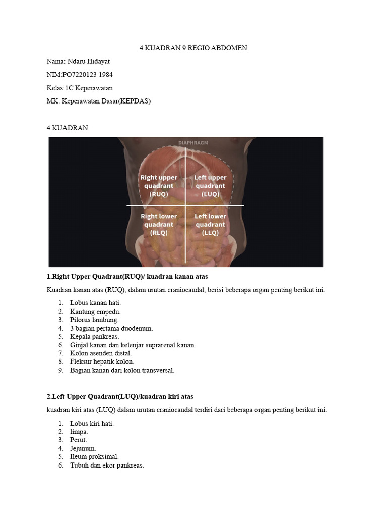 4 KUADRAN 9 REGIO ABDOMEN - KEPDAS - Ndaru Hidayat | PDF | Ilmu Sosial ...