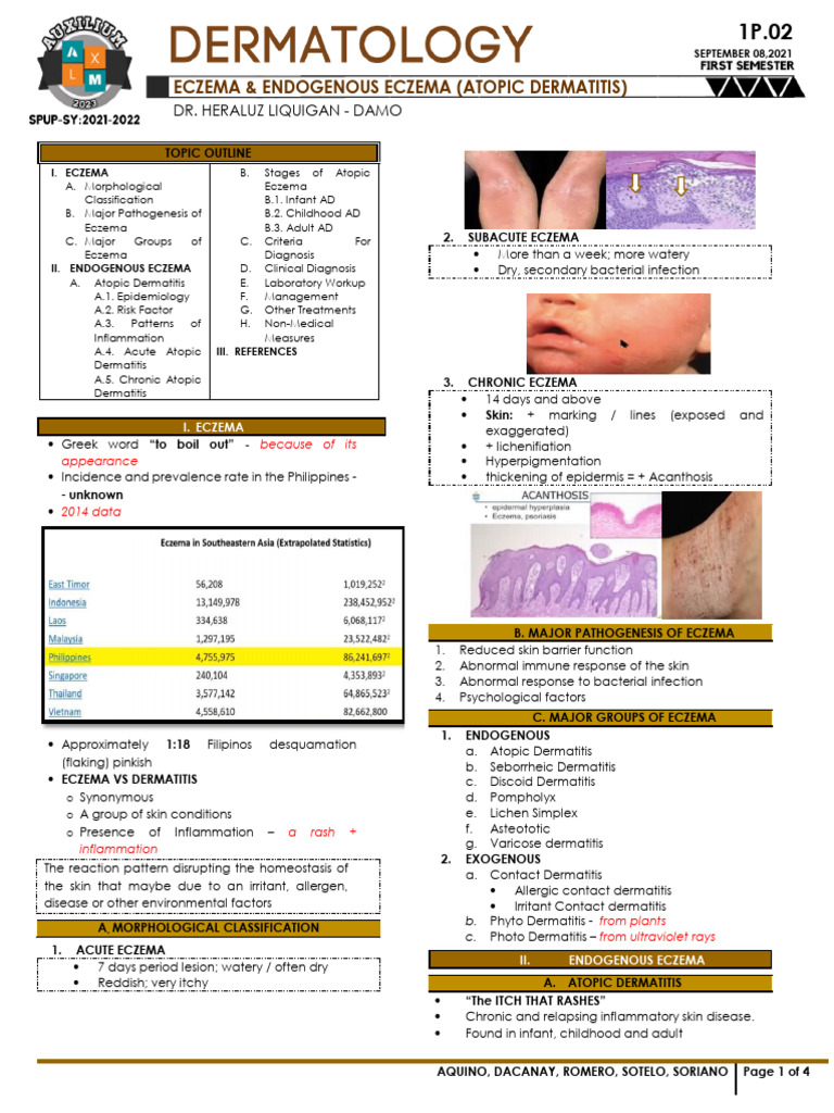 1P.2.1.Derm-Eczema and Endogenous Eczema (AD) Part 1 | PDF | Dermatitis ...