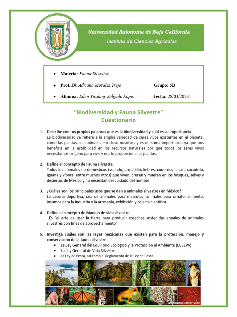 Bio Divers I Dad | PDF