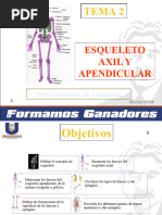 Guía de Reparos Anatómicos Óseos | PDF
