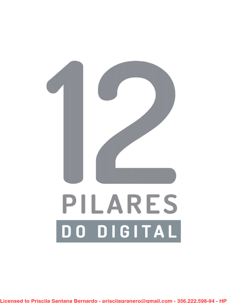 12 pilares do digital ebook | PDF