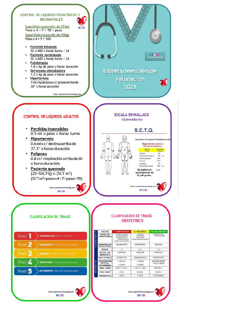Escalas de Enfermeria | PDF