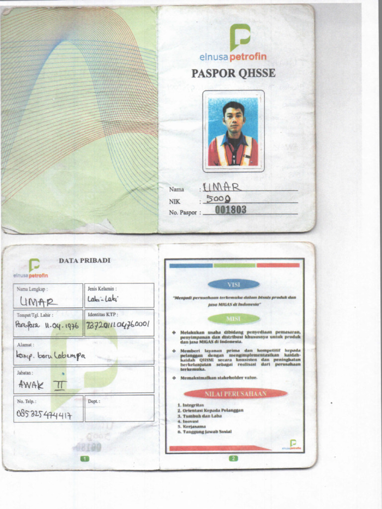 HSE Passport | PDF