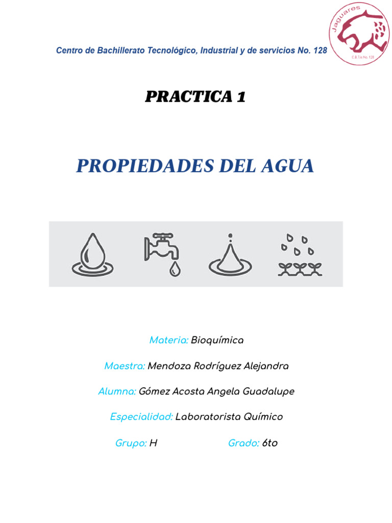 Práctica 1 - Propiedades Del Agua | PDF | Agua | Propiedades del agua