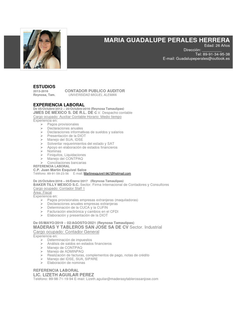 Curriculum Actualizado | PDF | Contador | Contabilidad