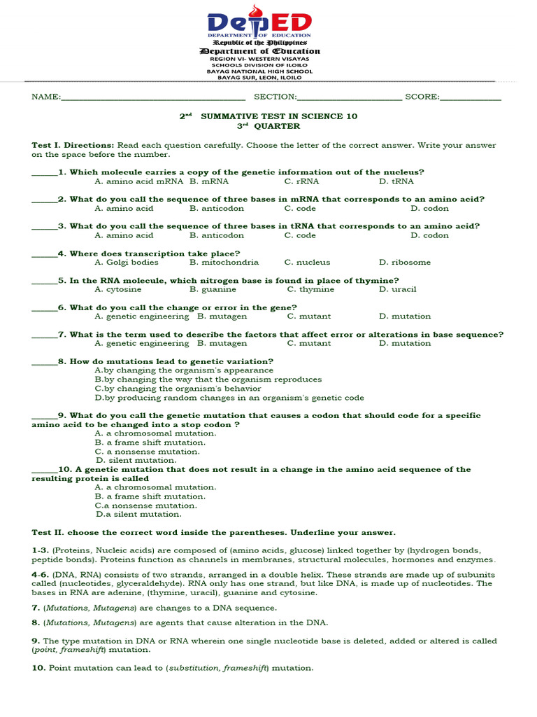 Genetics Summative Test for Science 10 | PDF | Dna | Rna