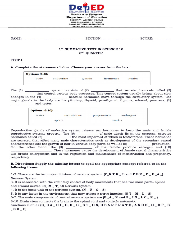 Science 10 - 1ST Summative Test | PDF | Human Body | Neuron