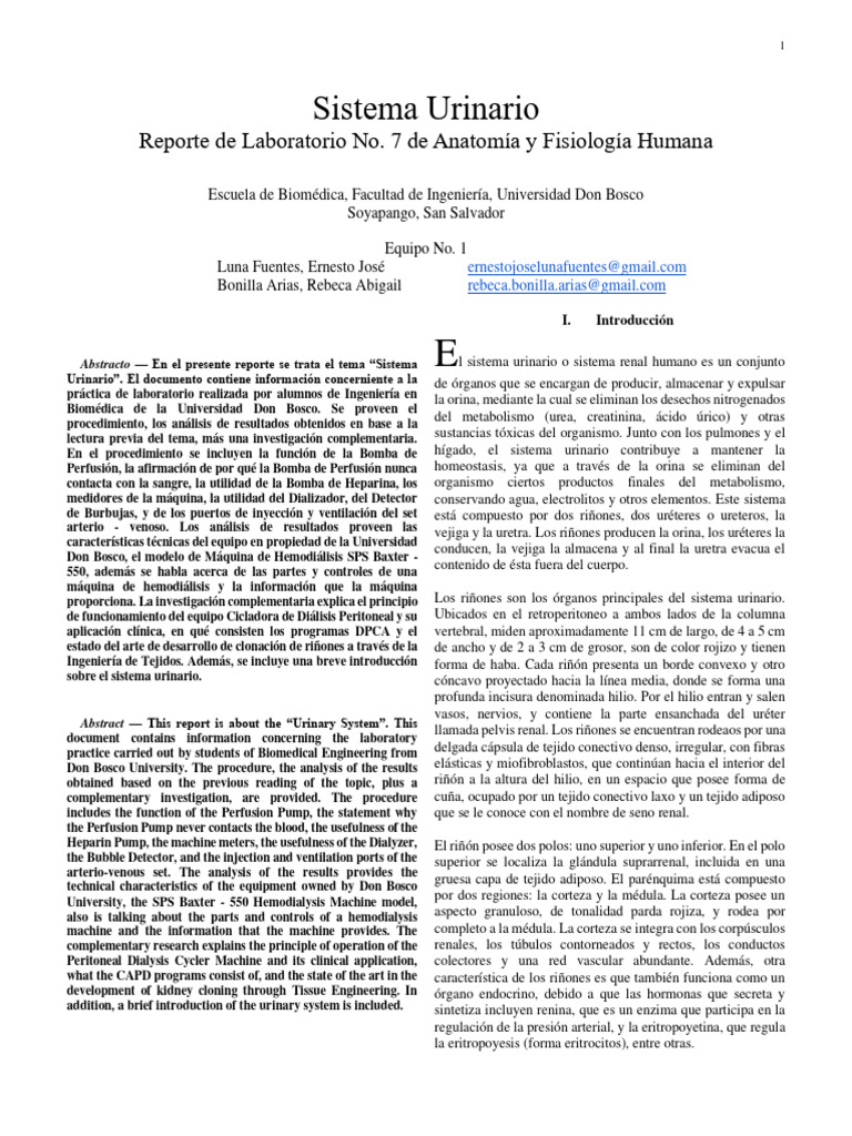 Reporte 7_Equipo 1 | PDF | Hemodiálisis | Sistema urinario