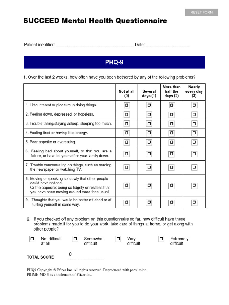 Succeed Mental Health Questionnaire | PDF | Experience | Feeling