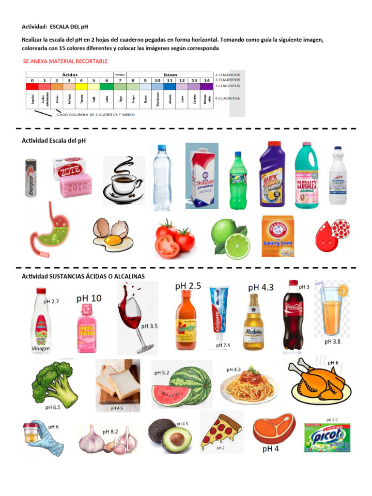 Actividad ESCALA PH | PDF