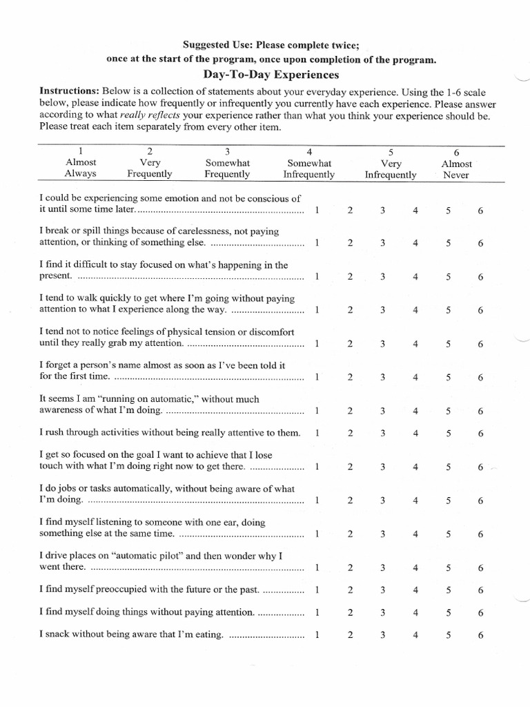 MBSR Day To Day Experiences Rating Sheet | PDF