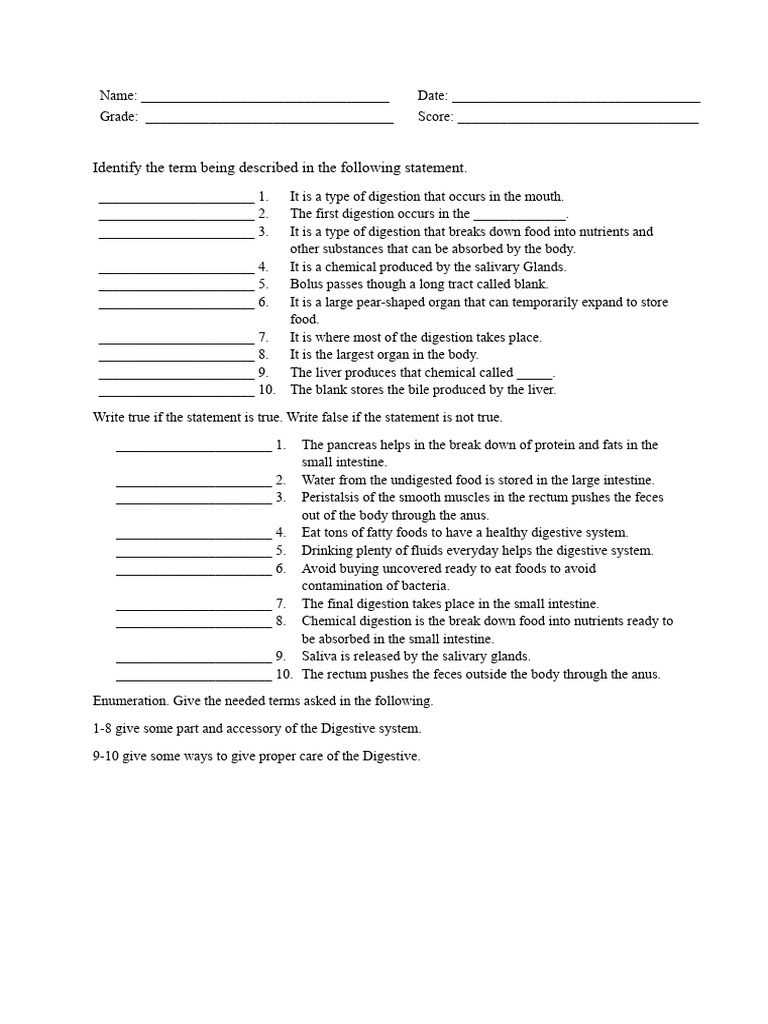 Digestive System Grade 6 | PDF | Digestion | Human Digestive System
