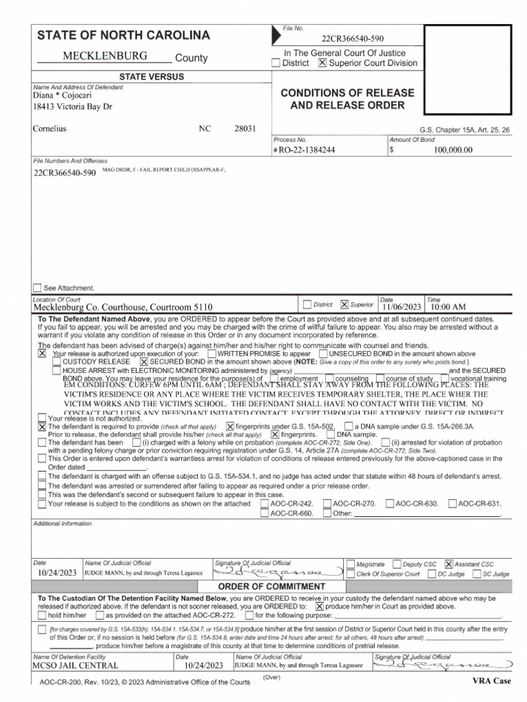 Release Order for Diana Cojocari | PDF | Bail | Arrest