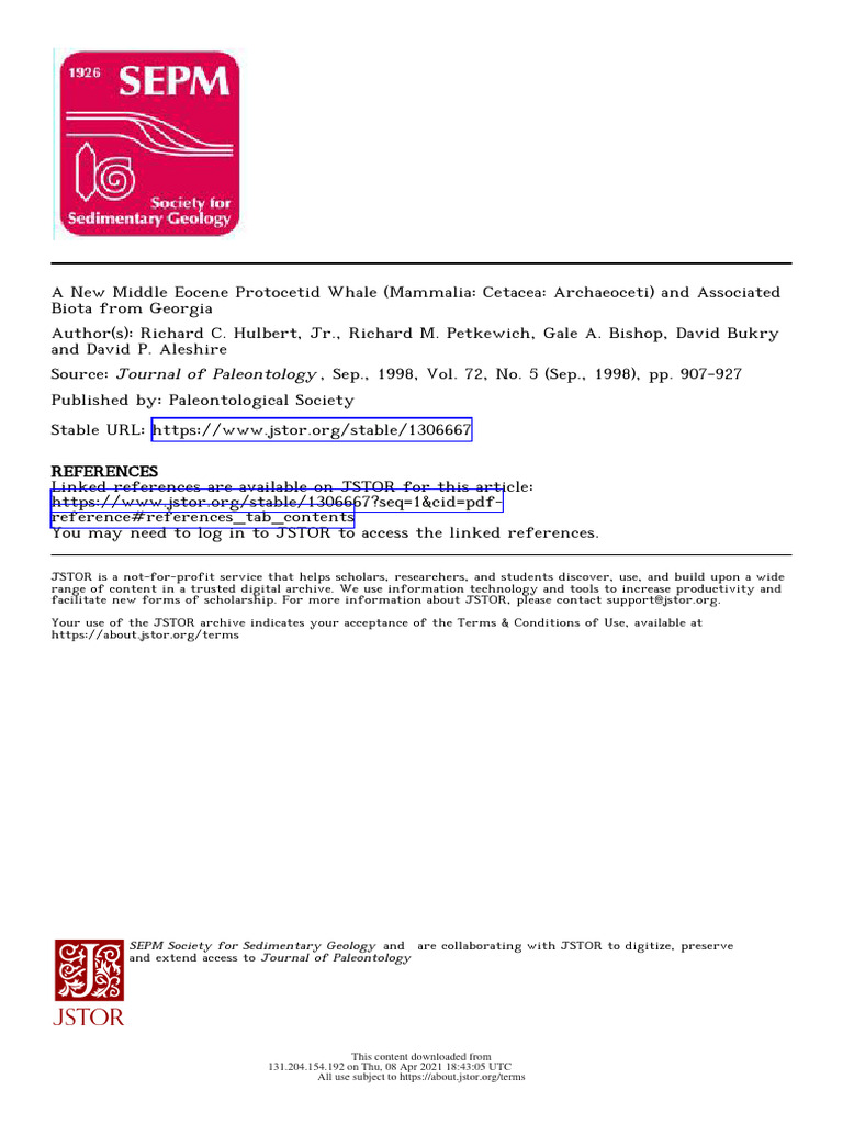 Georgiacetus | PDF | Social Science