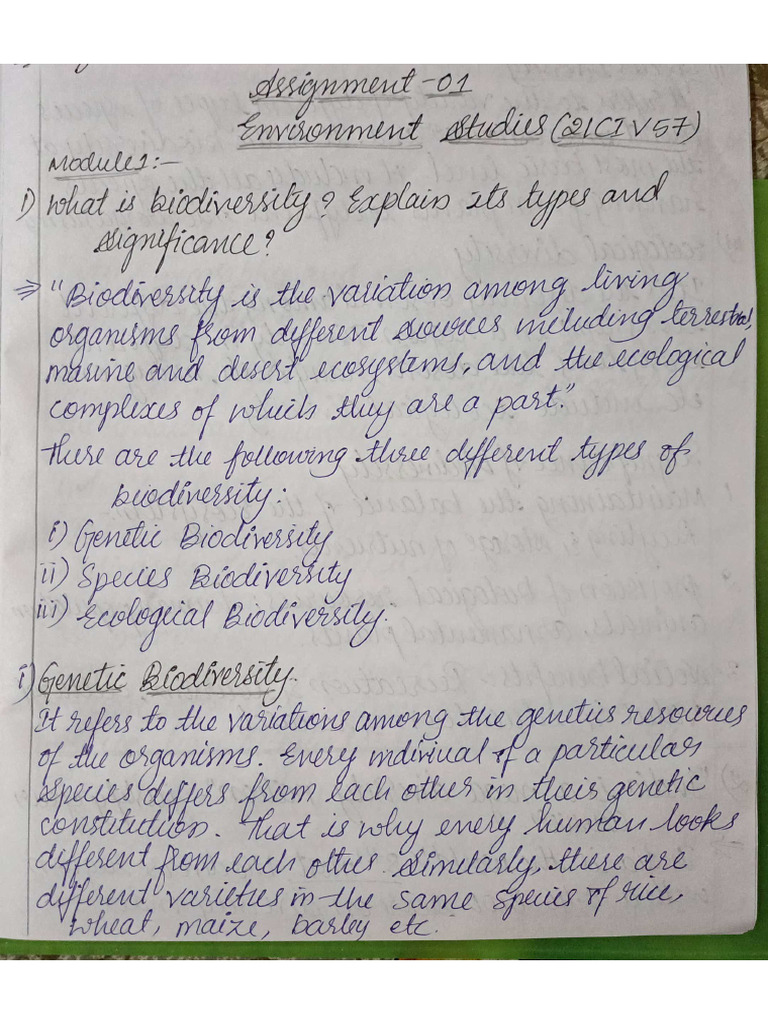 21CIV57 Assignment | PDF