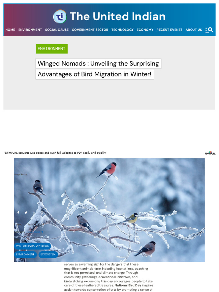Advantages of Bird Migration | PDF | Bird Migration | Birds