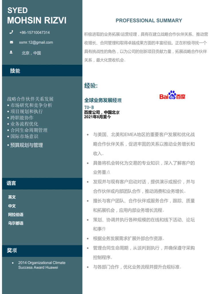 CN Rizvi Resume 24 | PDF