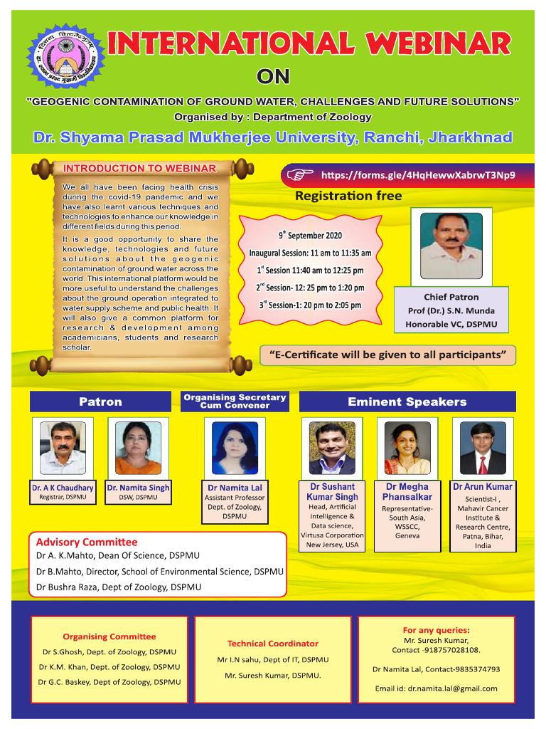 Poster International Webinar | PDF