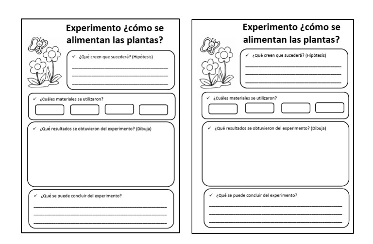 Guía EXPERIMENTO DE LA PLANTA | PDF