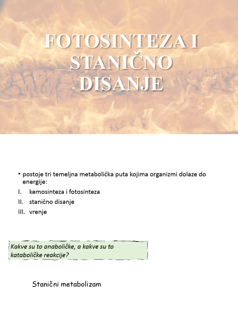 Fotosinteza I Stanično Disanje | PDF