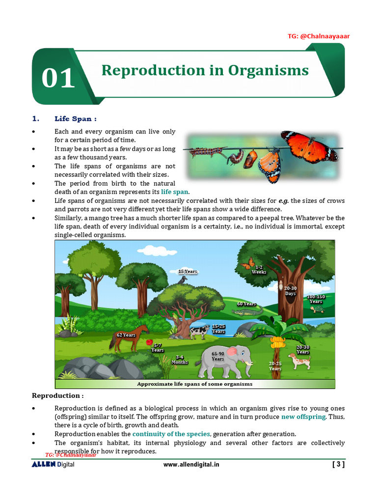 Reproduction in Organisms | PDF | Fertilisation | Reproduction